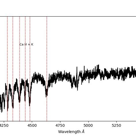 Initialisation Conditions For The Simulation Download Scientific Diagram