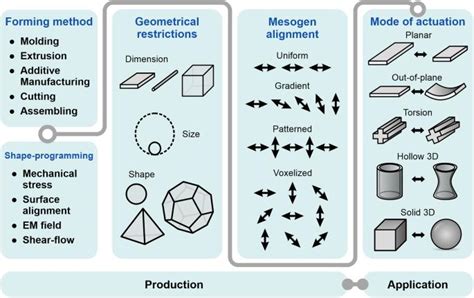Saide Umerova On Linkedin Shape Programming Of Liquid Crystal Elastomers Communications Chemistry