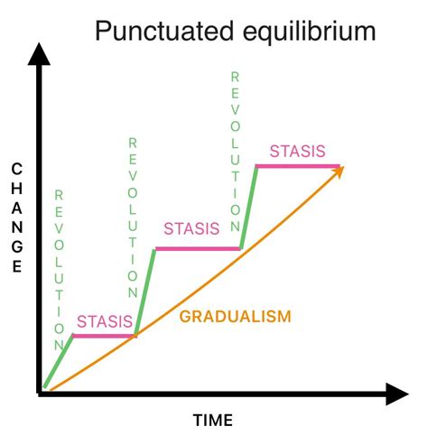 Punctuated Equilibrium Model Pem Prof Sunil Unni Kodakara