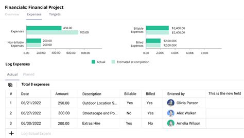 Birdview Psa Resource Management Project Finances Atlassian Marketplace