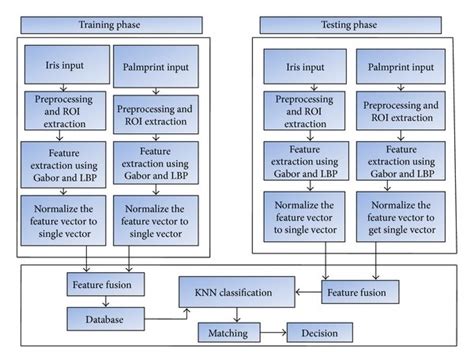 proposed feature fusion multimodal biometric system download
