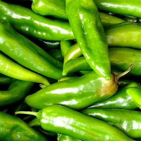 Chilli Seeds Perth Western Australia