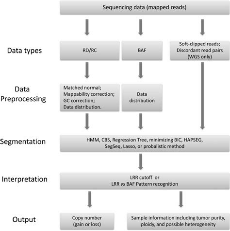The Workflow Chart That Computational Methods Fall In For Calling