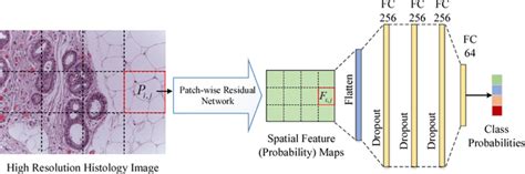 Improving High Resolution Histology Image Classification With Deep