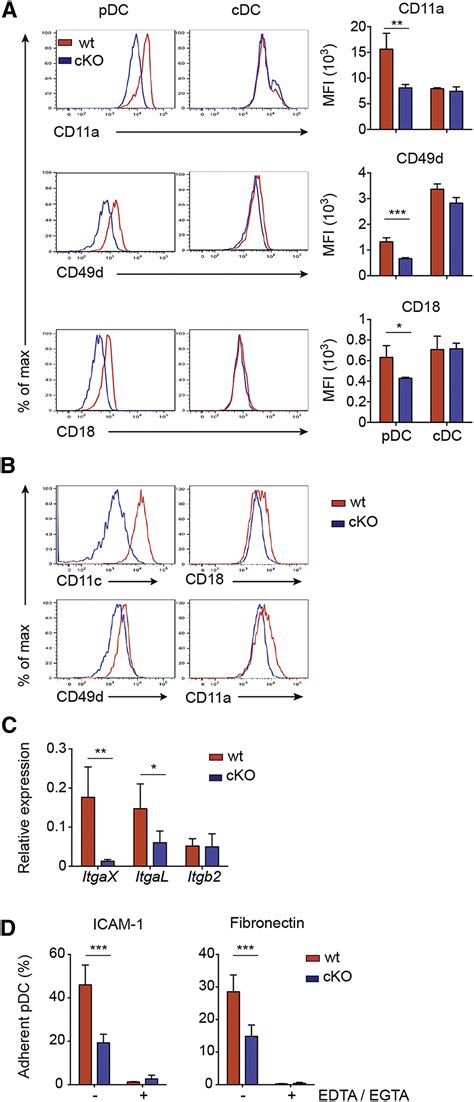 Runx2 Mediates Plasmacytoid Dendritic Cell Egress From The Bone Marrow