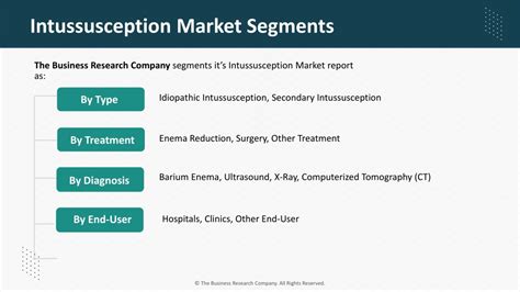 Ppt Intussusception Market Powerpoint Presentation Free Download Id13034777