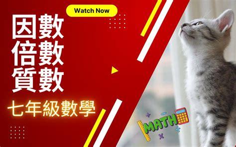 列出2到50的所有整数，依下列步骤进行： 步骤一：留下2，删去2的倍数得2、3、5、7、9 步骤二：留下3，删去3的倍数得2、3、5、7