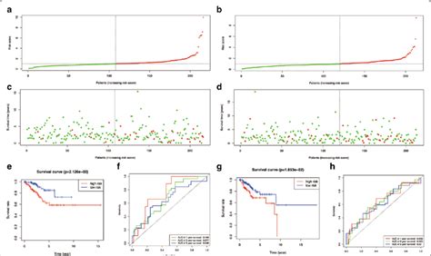 Prognostic Analysis Of The Training Cohort And The Testing Cohort A
