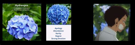 Wiki My Hero Academia Amino