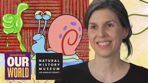 Science Of Spongebob Shell Yeah Its Earth Month Natural History Museum