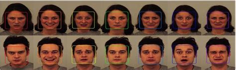 Kdef Facial Expression Dataset Download Scientific Diagram