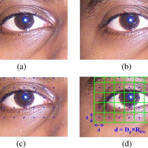 Schematic Of Image Alignment And Feature Extraction Process A Input Download Scientific