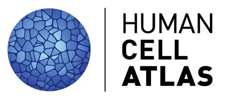 About The Hca Data Portal Hca Data Portal