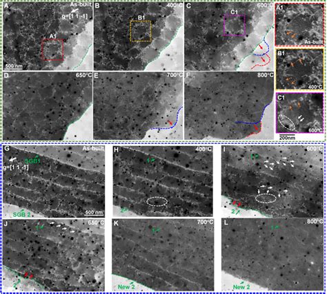 Dynamic Evolution Of Dislocation Structures At Elevated Annealing Download Scientific Diagram