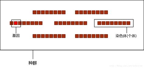 路线问题优化方案和实践（蚁群算法、遗传算法、模拟退火算法）蚁群算法优化遗传算法 Csdn博客