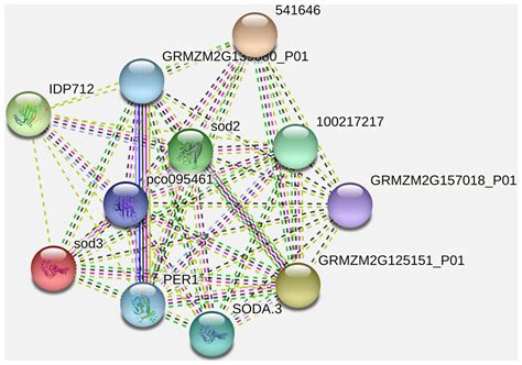 Cloning And Comparative Modeling Identifies A Highly Stress Tolerant Cu