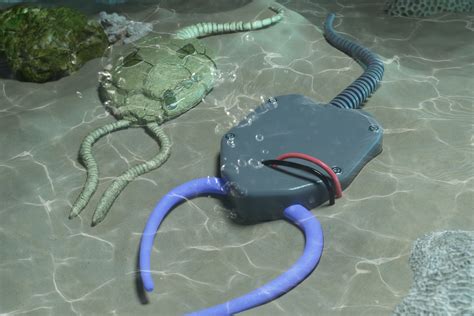 An Ancient Stingray Lookalike Inspires Underwater Soft Robotics Discover Magazine