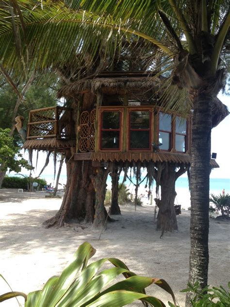 Images About Dream Tree Houses On Pinterest Kid Tree Houses Trees And A Tree