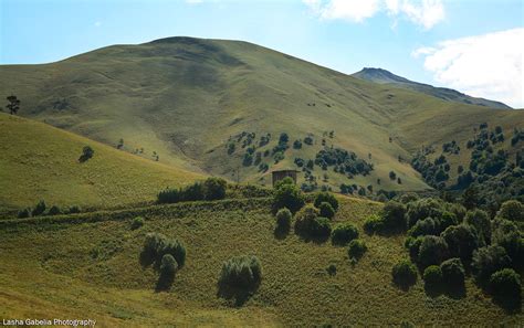 მიტოვებული საბაგიროს სადგური Lasha Gabelia Flickr