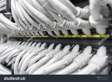 Network Gigabit Smart Switch Network Cables Stock Photo 256357144 Shutterstock