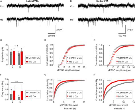 Maternal Separation Ms Enhances Excitatory Synaptic Inputs To Vta