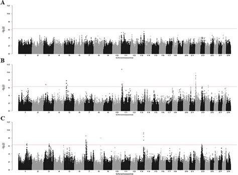 Manhattan Plots Showing Log10p Values Of Association Between Every Download Scientific
