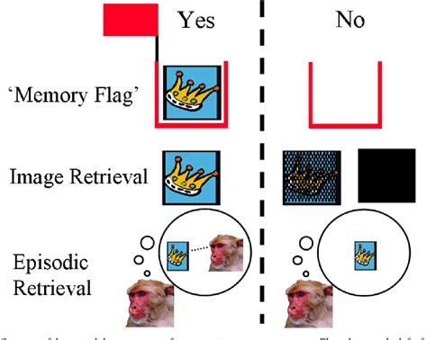 figure 1 from multiple demonstrations of metacognition in nonhumans