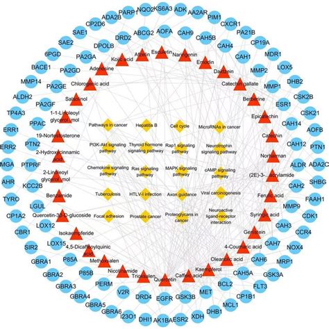 Compound Target Pathway Network Blue Circle Red Triangle Yellow