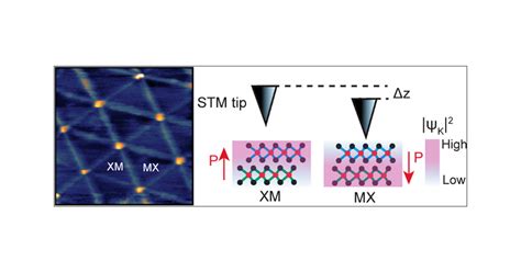 Moiré Potential Lattice Relaxation And Layer Polarization In