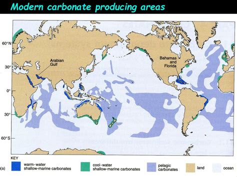 Ppt Carbonate Sediments And Depositional Environments Powerpoint Presentation Id4695188 Ppt Carbonate Sediments And Depositional Environments Powerpoint Presentation Id4695188