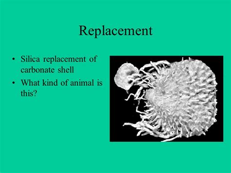 Original Preservation Natural Mummification By Drying Ppt Download