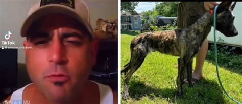 Sign Man Admits To Starving Dogs Takes Video Of Himself Encouraging