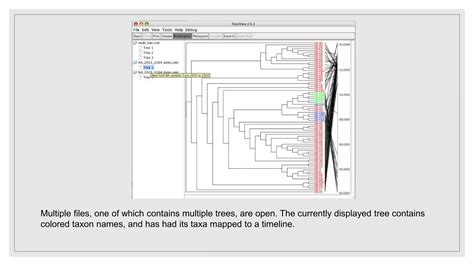 Phylogenetic Tree Viewing Softwares Ppt