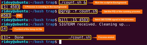 Explained Bash Trap” Command For Signal Handling Linuxsimply