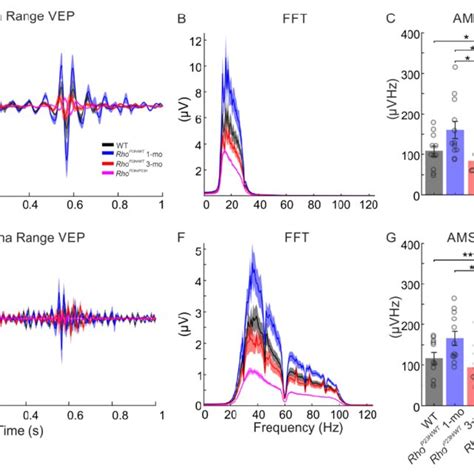 Cortical Neurons Are Hyperexcited In Juvenile Rho P23h Wt Mice White Download Scientific