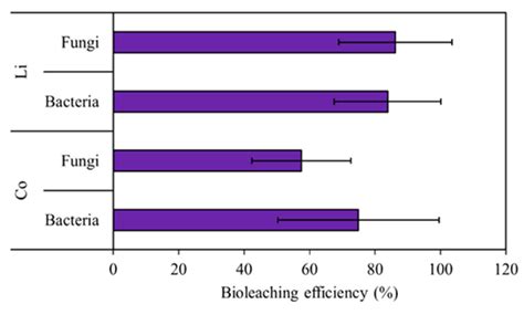 Sustainable Lithium And Cobalt Recovery From Spent Lithium Ion Batteries Best Practices For The