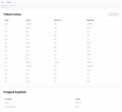 Kapital Ukupne Vrednosti Svih Hartija Koje Korisnik Poseduje Ispod