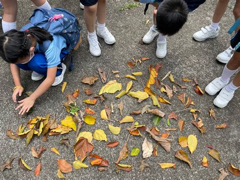 Countryside Exploration Tree Exploration Nature In Touch Afcd