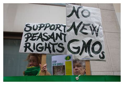 New Gmo Deregulation Europes Small Scale Farmers And Breeders Warn Of Corporate Control And