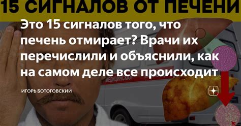 Это 15 сигналов того что печень отмирает Врачи их перечислили и объяснили как на самом деле