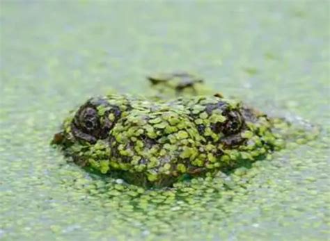 파이썬 Range 함수 예제와 활용법 샤이니블룸