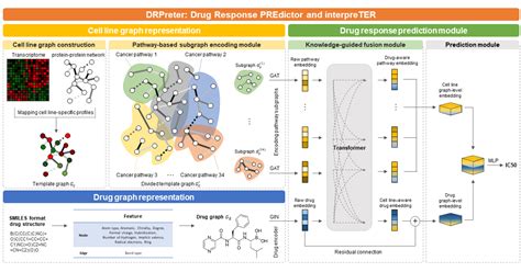 Github Babaling Drpreter [ijms 2022] Drpreter Interpretable Anticancer Drug Response