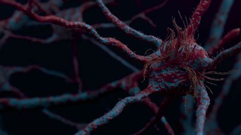 Ehsan Nezhad Mohammad On Linkedin Do You Like These Renders Recently Created In Blender By Me