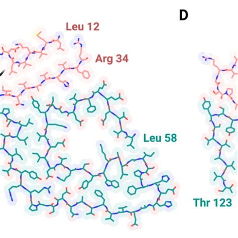 Cryo Em Structures Of Cardiac Fibrils From Attrp24s And Attrt60a Download Scientific Diagram