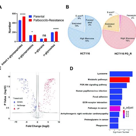 Quantitative Proteomic Analysis Of Hct116 And Hct116 Pdr Cells A