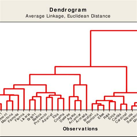 dendrogram of cluster analyses of 33 potato cultivars in antixenosis