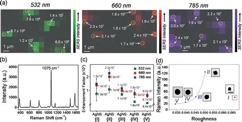 single particle detection of different sized agnss a representative