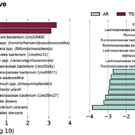Lefse Identifies Bacterial Biomarkers Associated With Iga Coated And