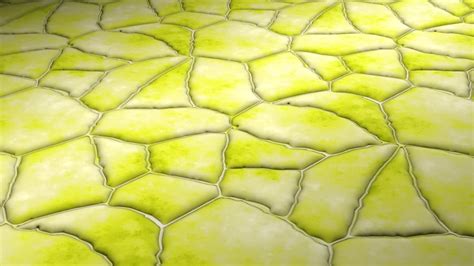 Branch Pbr Texture A23d Branch Pbr Texture A23d