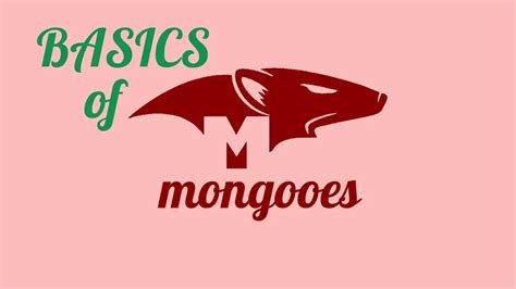 Basics Of Mongoose Database Framework Rustcode